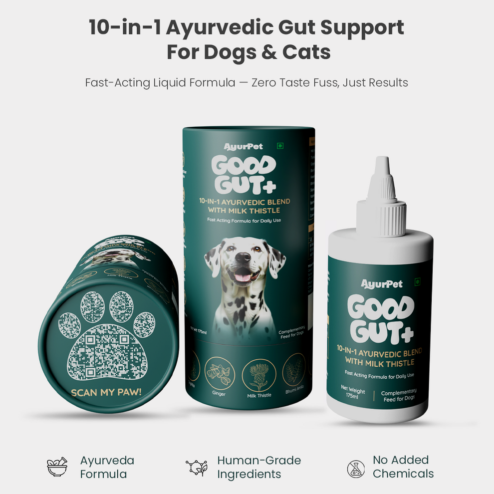 GoodGut+ | Digestive Enzyme Drops for Dog | Natural Ayurvedic Formula ...