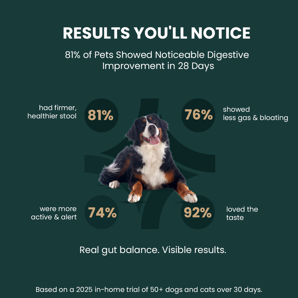 GoodGut+ | Digestive Enzyme Drops for Dog | Natural Ayurvedic Formula ...